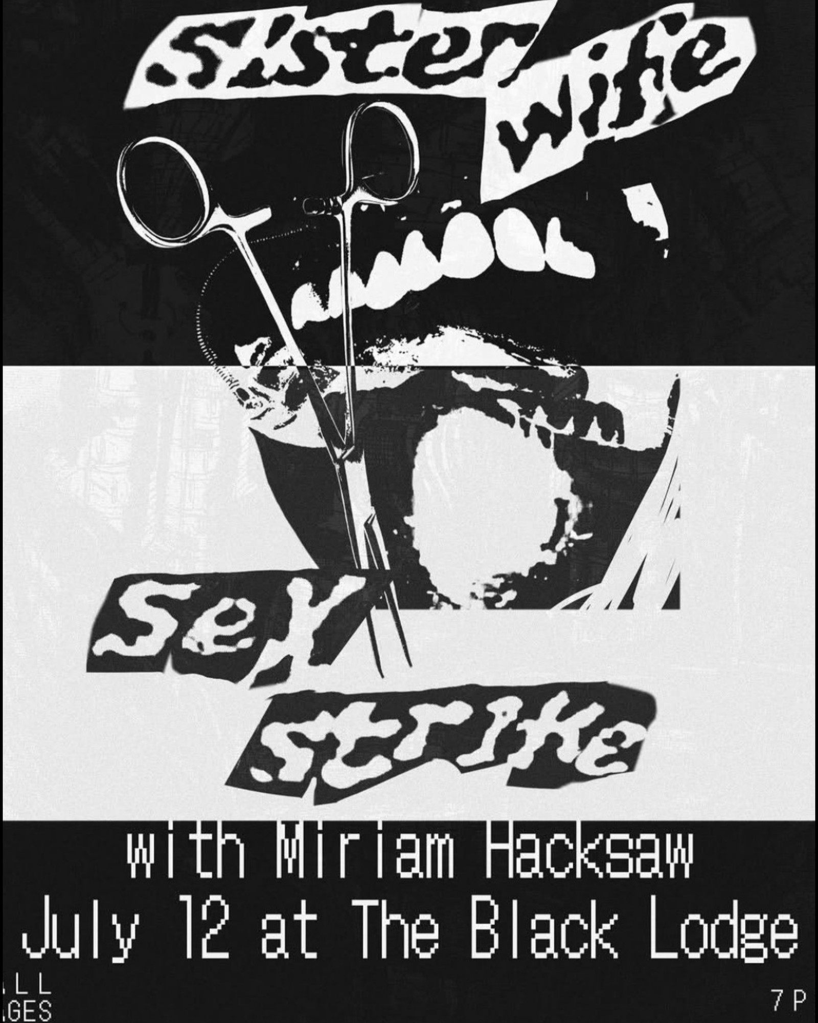 SEATTLE AREA PUNK SHOWS